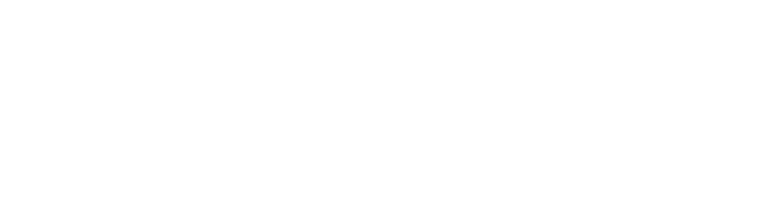 The Premier Heart Center